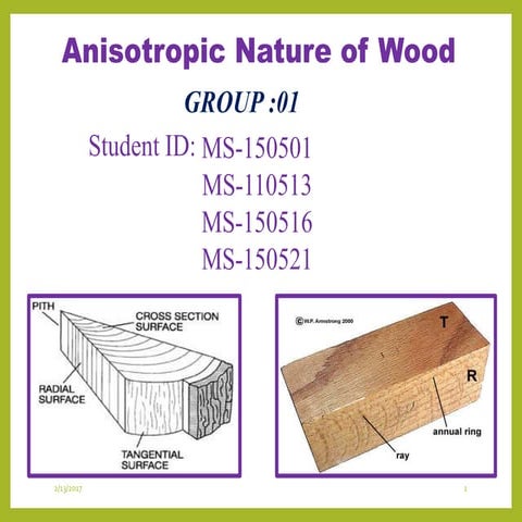 Wood anatomy and structure , wood and its products | PDF