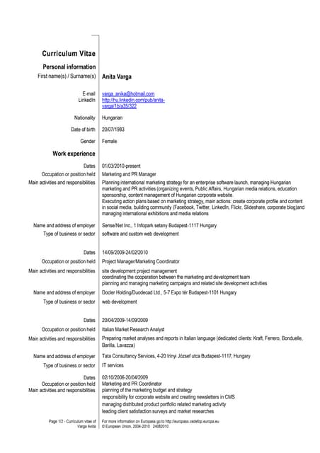 Curriculum Luca Adami | PDF | Business Administration | Business