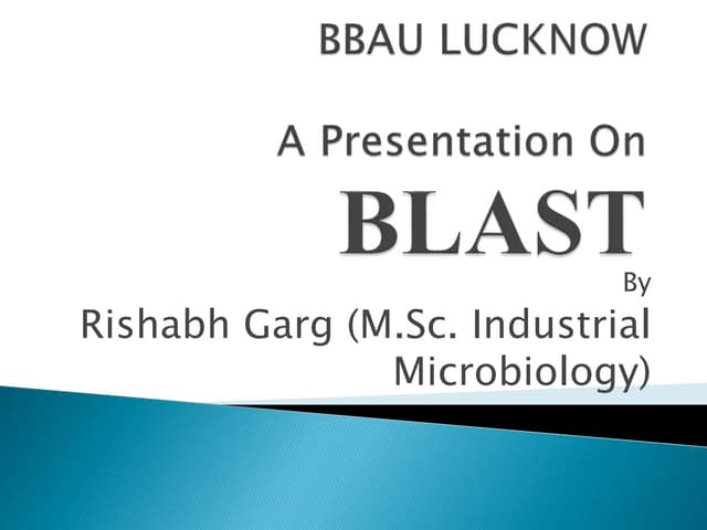 PHI Blast-PSI Blast bioinformatics .pptx