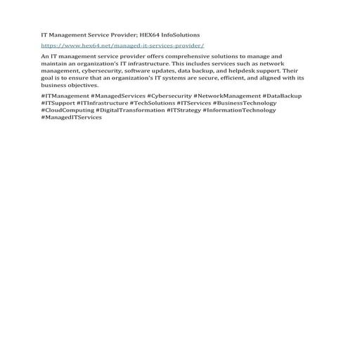 IT Management Service Provider; HEX64 InfoSolutions | PDF