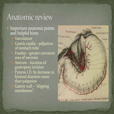 Seminar on stamm, janeway & PE gastrostomy | PPTX