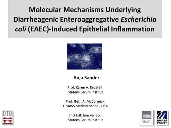 Msc Thesis - Presentation | PPT