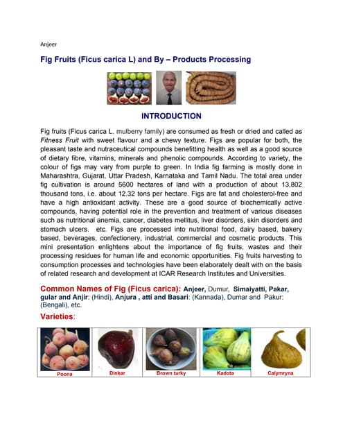 1. fig ppt | PPTX