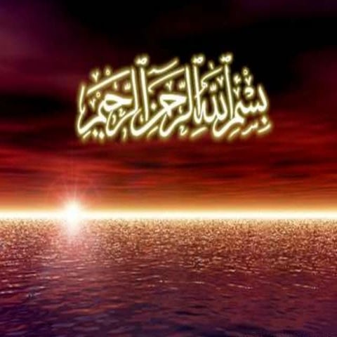 Anjuman himayat ul islam | PPTX