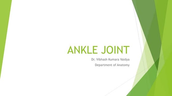 Ankle joint Anatomy | PPTX