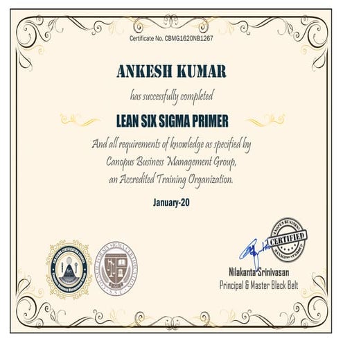 Ankesh kumar primer | PDF