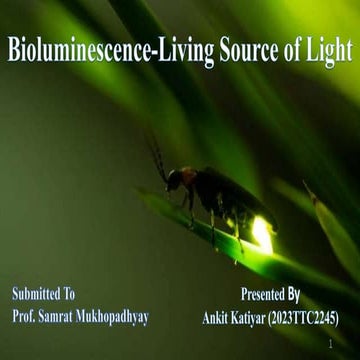Bioluminescence-Living source of light on earth | PPT