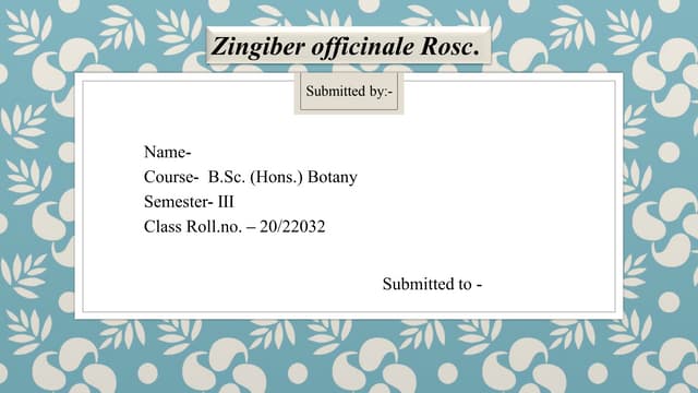 09.Morphology and microscopy of Ginger.ppt