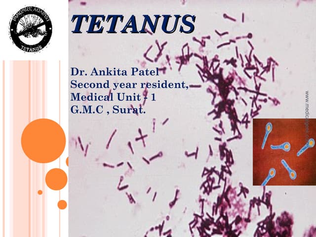 Tetanus | PPTX