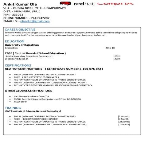 Ankit new resume | DOCX | Cloud Computing | Internet