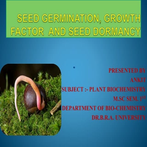 Seed germination, growth factor and seed dormancy presented by Ankit ...