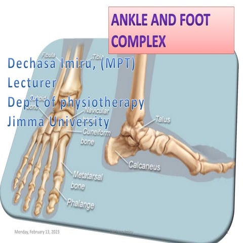 Ankle and Foot complex for 2nd yr PT.pdf