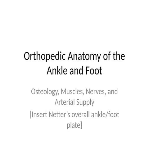 Ankle_Foot_Orthopedic_Anatomy_Presentation.pptx