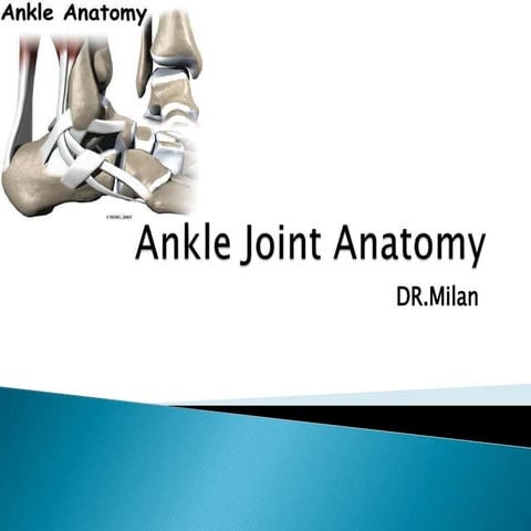 ankle joint anatomy ppt book to your .pptx