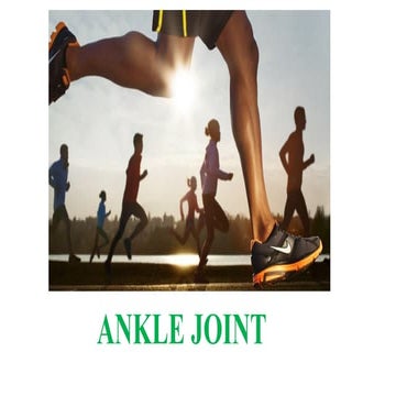 anatomical & clinical aspects of the ankle joint | PPTX