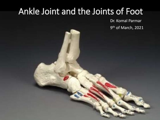 Ankle joint Anatomy | PPTX