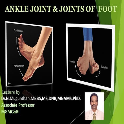 Ankle joint & joints of foot pdf lecture notes by Dr.N.Mugunthan | PDF
