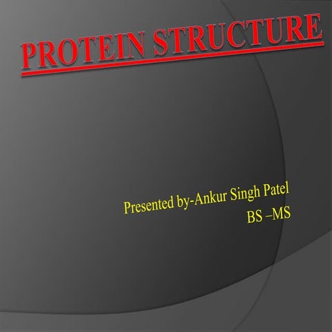 Proteins Structure | PPT