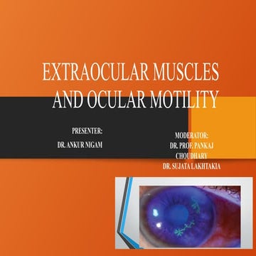 Extraocular muscles | PPTX