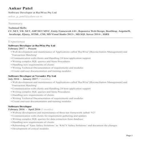 Ankur Patel CV | PDF