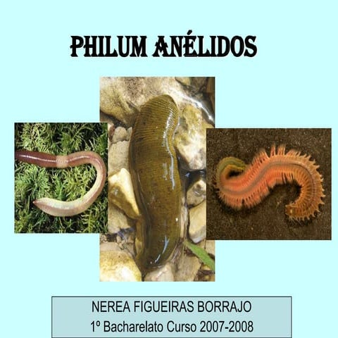 Anélidos | PPT