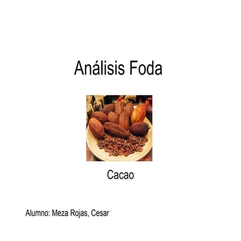 Análisis foda cacao-Meza Rojas, Cesar | PPT