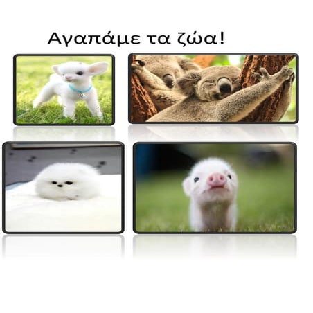 8 Αγάπη στα ζώα.pdf