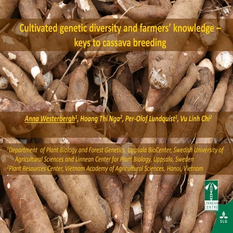 Cultivated genetic diversity and farmers’ knowledge – keys to cassava breeding | PDF