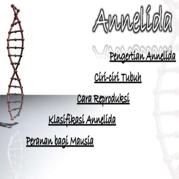 Annelida | PPTX
