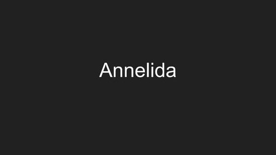 Annelida- General Characters and classification | PPTX | Biological ...