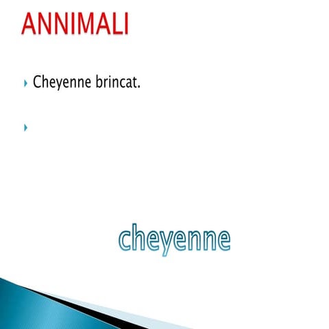 Annimal | PPTX