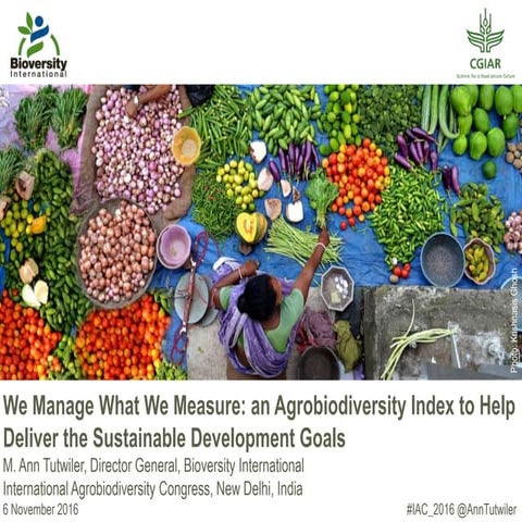 We Manage What We Measure: An Agrobiodiversity Index to Help Deliver ...