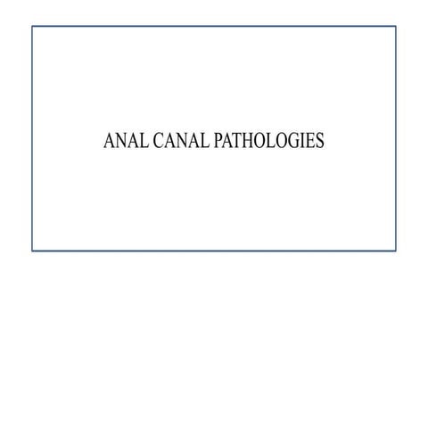ano-rectal disorders (Background, Anatomy, Pathophysiology ...