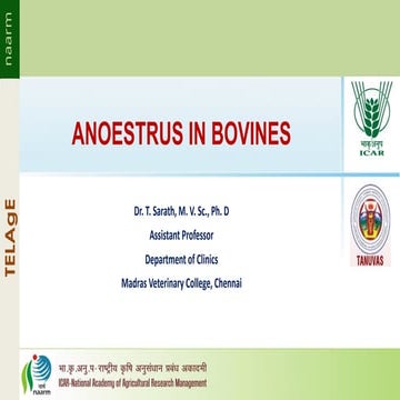 ANOESTRUS IN BOVINES cow cattle .pptx