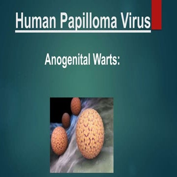 Anogenital warts | PPTX