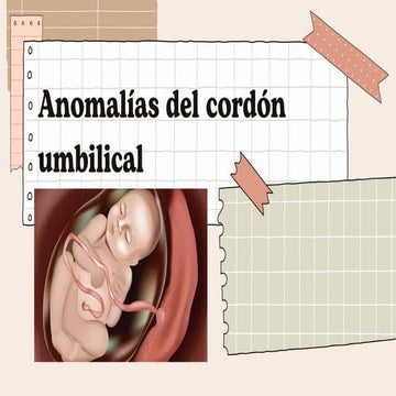 anomalias del cordon umbilical_embriologia | PDF