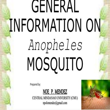 Anopheles mosquito | PPTX