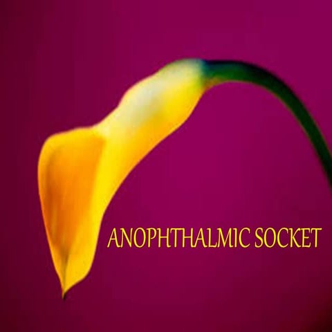 Anophthalmic socket | PPTX