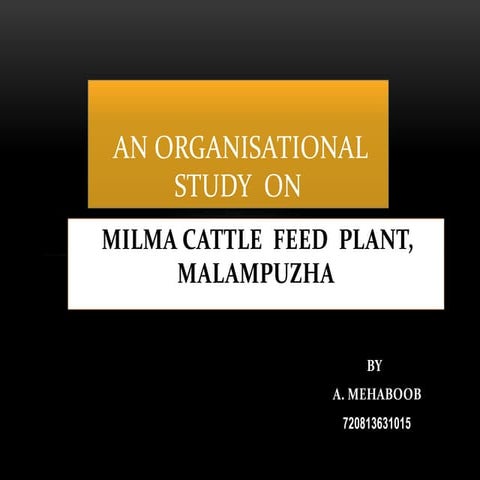 An organisational study on | PPTX