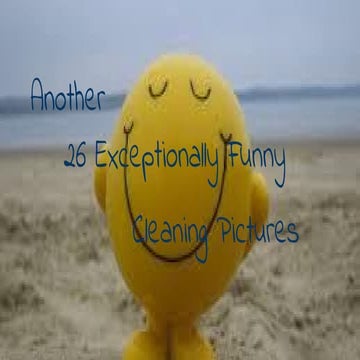 Another 26 Exceptionally Funny Cleaning Pictures | PDF