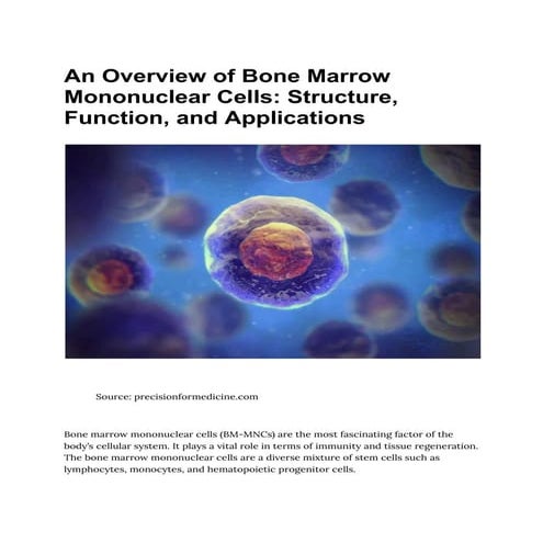 An Overview of Bone Marrow Mononuclear Cells_ Structure, Function, and Applications.pdf