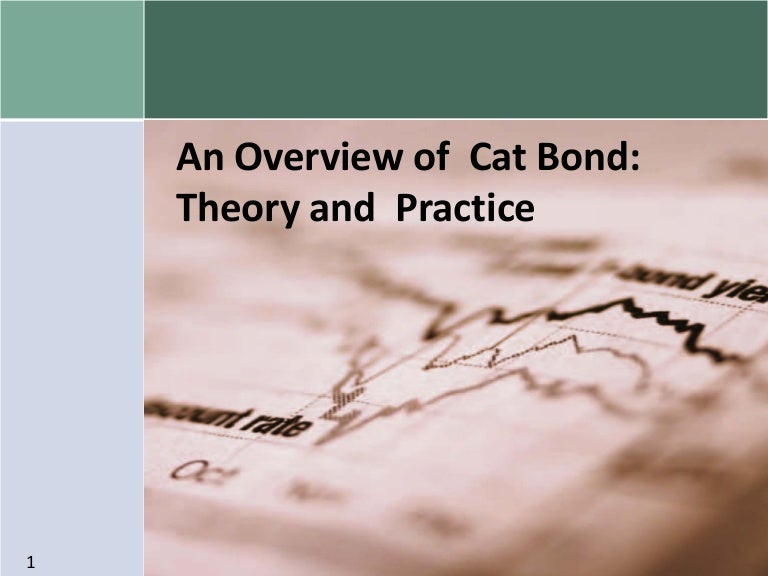 An overview of cat bond