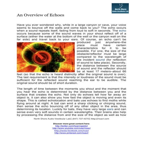 An Overview of Echoes | PDF