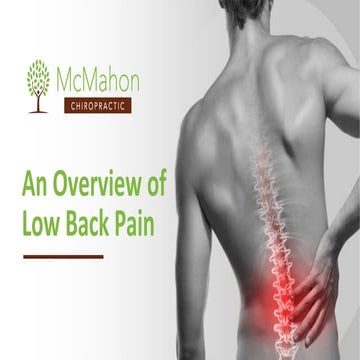 An Overview of Lower Back Pain | PPT