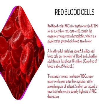 An overview of Red blood cells (01).pptx