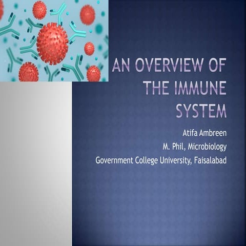 Immune System Power Point The Immune System.