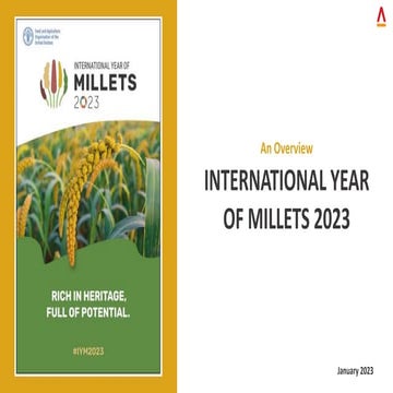 An Overview of the International Year of Millets 2023.pdf