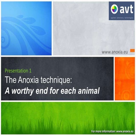 Anoxia: what is it? | PPT