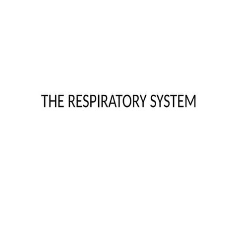Respiratory System - Anatomy | PPSX