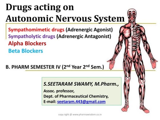 Sources of drugs | PPT